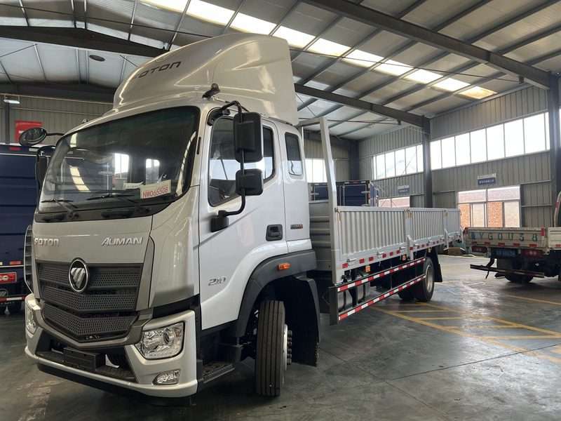 Контейнеровоз на шасі FOTON AUMARK BJ 1128 GVW 12 т (колісна база 5.200 ...